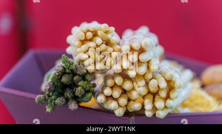 Zwingenberg, Germany. 08th Apr, 2024. Asparagus Queen Lena I, real name ...