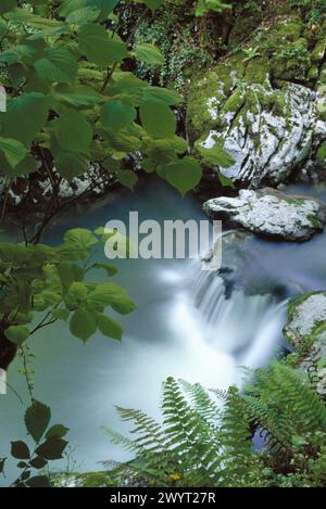 Deva River. Aranzazu. Guipúzcoa. Spain Stock Photo - Alamy
