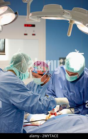 Hip joint replacement, traumatology operating room. Hospital ...