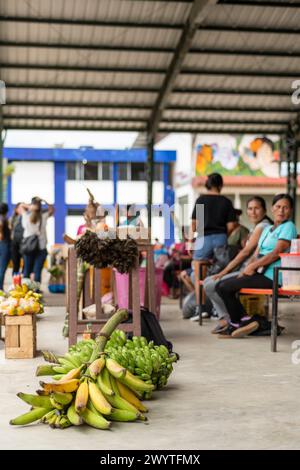 Food Market, Cotundo,, Napo Province, Amazonia, Ecuador, South America ...