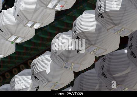 A row of lanterns with Chinese writing on them. The lanterns are white ...