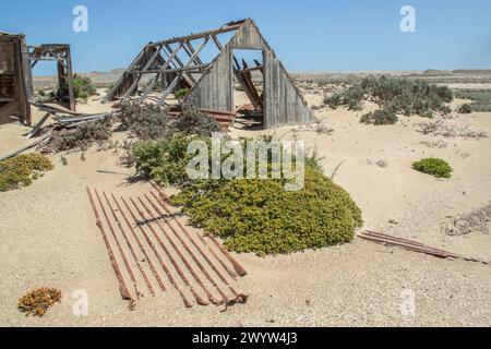 Triangular Outhouse, desert vegetation and rusty roofing material in ...