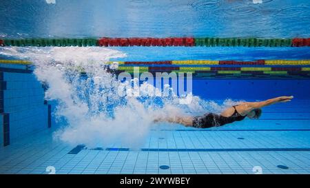 Female swimmer in water immersion phase, entering and sliding below the ...