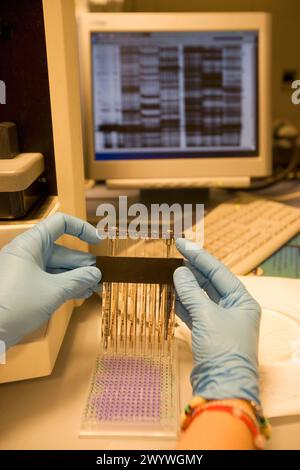 Polyacrylamide gel electrophoresis. Automatic sequencer. LICOR system ...