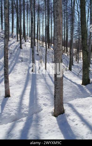 Legazpi. Guipúzcoa. Spain Stock Photo - Alamy