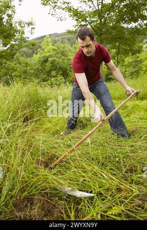 Man using scythe, hand tool, farming, Guipuzcoa, Basque Country, Spain ...