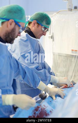 Angioplasty, Stenting in coronary arteries, Hemodynamic, Operating room ...