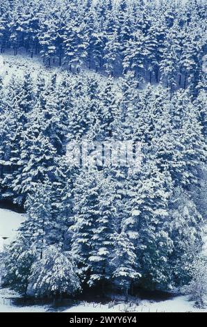 Aztiria. Legazpi. Guipúzcoa. Spain Stock Photo - Alamy