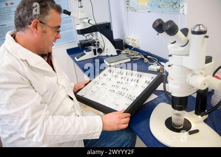 Identification of coleopteran, Entomology box, Entomology Laboratory ...