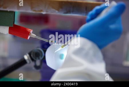 Electrospinning of self-assembling molecules to wires The natural self ...