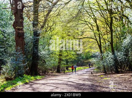 People hiking in Epping Forest, is a 2,400-hectare area of ancient ...