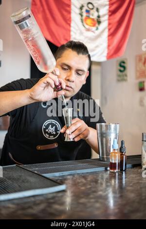 Pisco Sour Cocktail, Museo del Pisco Bar, Lima, Peru, South America ...