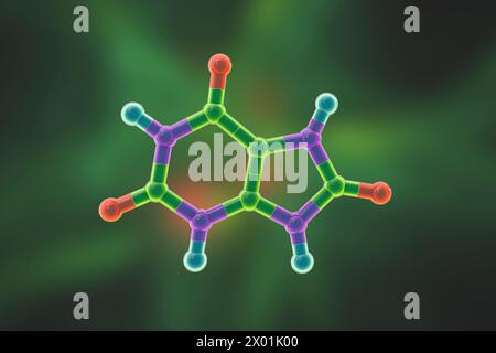 Illustration of the molecular structure of uric acid, a compound with ...