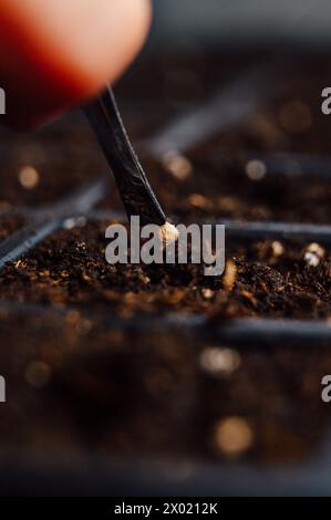 Seed planting in a hatchery Stock Photo - Alamy