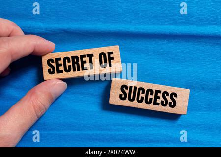 Secret of success words written on wooden blocks with green background ...