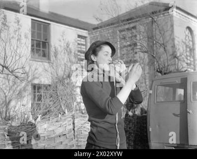 WREN ANTI AIRCRAFT GUNNERS. SEPTEMBER 1942, FELIXSTOWE. WRENS ARE NOW ...