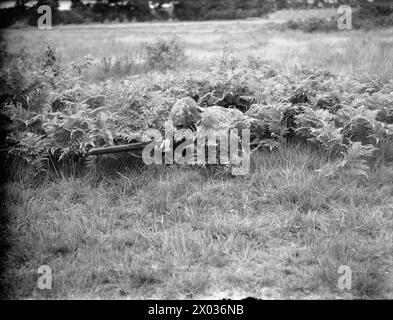 On 9 July 1940 at Bisley, Surrey, two Lovat Scouts of the British Army ...