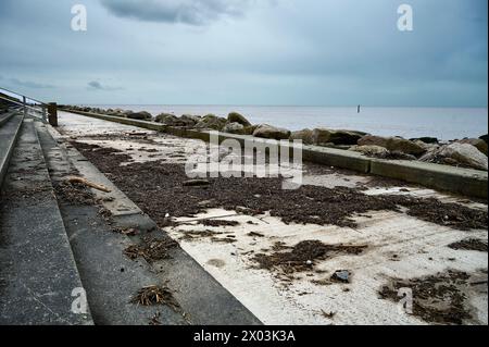 Flotsam and Jetsam washed ashore Stock Photo - Alamy