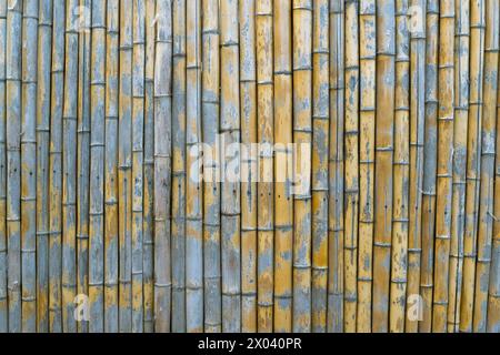 Fence made from bamboo trunks. Backgrounds and textures. Details and ...