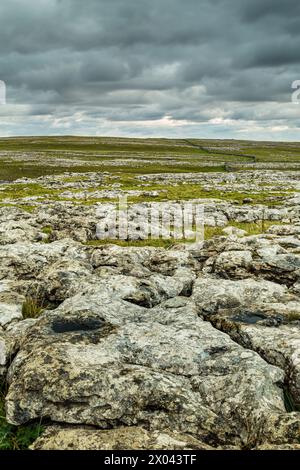 limestone pavement is a natural karst landform consisting of a flat ...