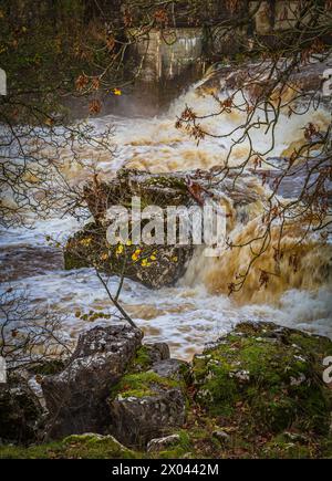 Flowing water of River Wharfe cascading over weir under pink sunset sky ...
