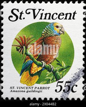 Saint Vincent parrot on postage stamp Stock Photo - Alamy