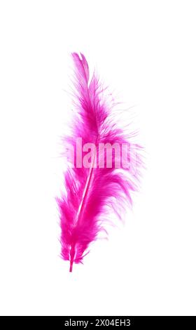 Fluffy beautiful magenta feather isolated on white Stock Photo - Alamy
