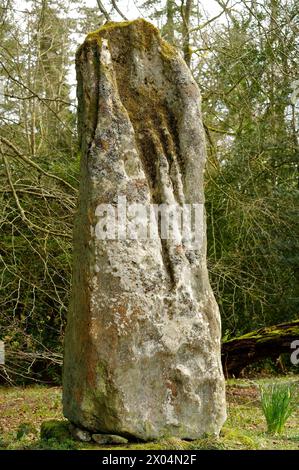 Wallington Hall Standing Stone, Northumberland, England Stock Photo - Alamy