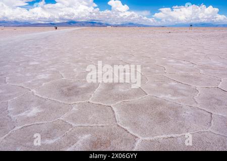 The Salinas Grandes Salt Flats, Salta/jujuy Province, Argentina Stock ...