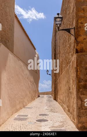 Vertical shot of a narrow pathway in a grassy field surrounded by green ...