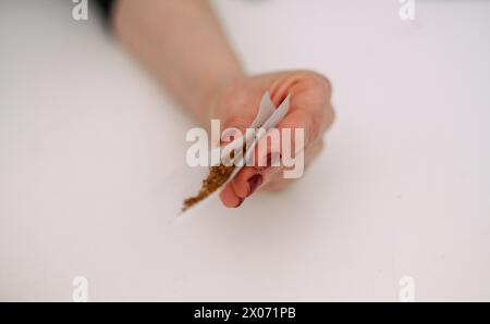 Moroccan hashish or hash, a cigarette, tobacco and a lighter to light ...