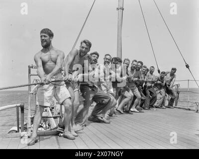HMS FOLKESTONE'S BEARDED CREW. MARCH 1944, FREETOWN, SEIRRA LEONE. ON ...