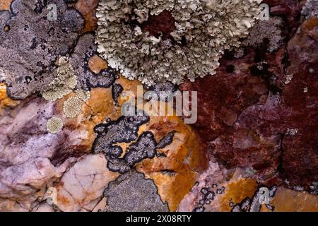 Close-up of colorful nickel formations on textured silica and quartz ...
