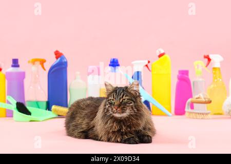 Cute cat with cleaning supplies and bottles of detergent lying on pink ...