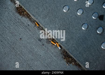 Cigarette buds littered on a pavement Stock Photo - Alamy