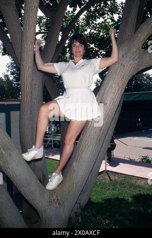 Kate Linder 1992 Credit: Ralph Dominguez/MediaPunch Stock Photo - Alamy
