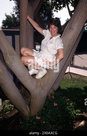 Kate Linder 1992 Credit: Ralph Dominguez/MediaPunch Stock Photo - Alamy