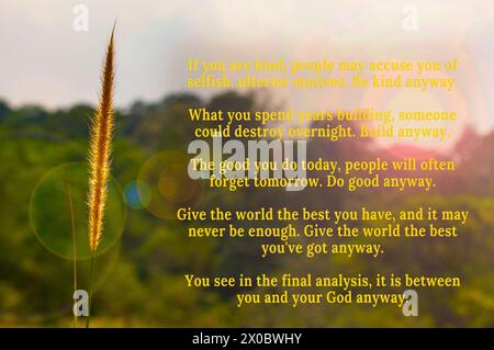 Life motivational and inspirational quotes: Be Kind Stock Photo - Alamy