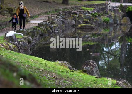 Great egret at Ara Pond, Nara Park, Nara, Japan - Ardea alba Stock ...