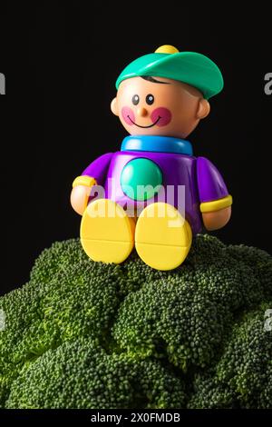 Fresh broccoli florets and plastic toy boy on black rustic background ...