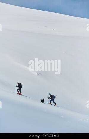 Alpine Ascent: Two Professional Skiers Conquer Snowy Peaks as a ...