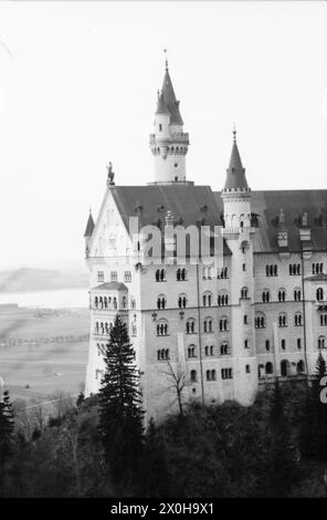 Neuschwanstein Castle [automated translation] Stock Photo - Alamy