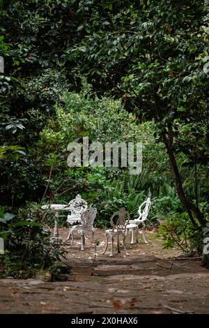 Metal chair at outdoor café surrounded by autumn leafs Stock Photo - Alamy