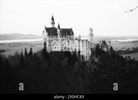 Neuschwanstein Castle [automated translation] Stock Photo - Alamy