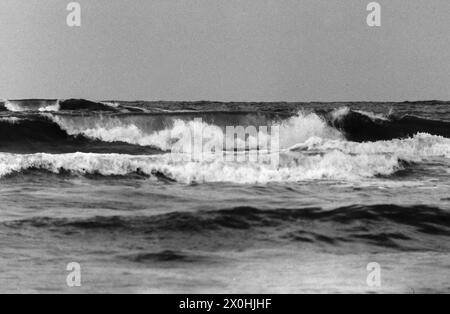Surf [automated translation] Stock Photo - Alamy