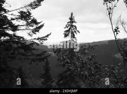Oberhof in Thuringia was and is always a beautiful destination, here a ...