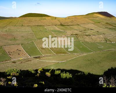 Azores, farmland, agriculture, island of Graciosa, landscape, Portugal ...