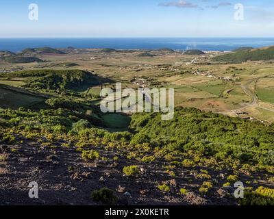 Azores, farmland, agriculture, island of Graciosa, landscape, Portugal ...