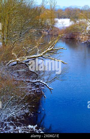 Europe, Germany, Hesse, Central Hesse, Marburger Land, old linden tree ...