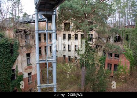 Alpenhaus, ruins of the Beelitz-Heilstätten, former lung sanatorium ...